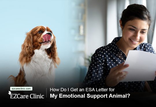 How Do I Get an ESA Letter for My Emotional Support Animal? EzCare