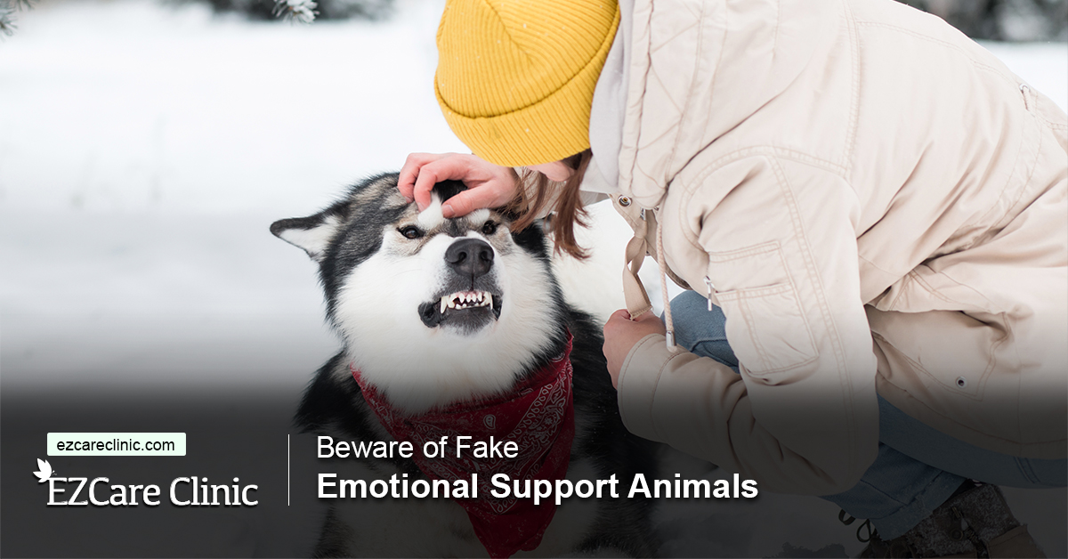 Beware of Fake Emotional Support Animals - MEDvidi