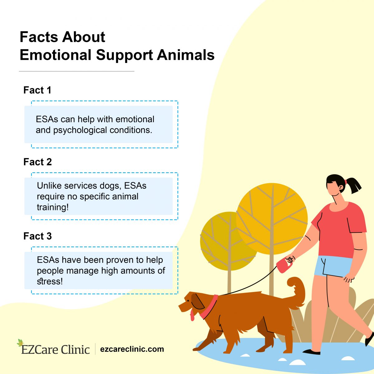 Emotional Support Animal Certification- The Basics - MEDvidi