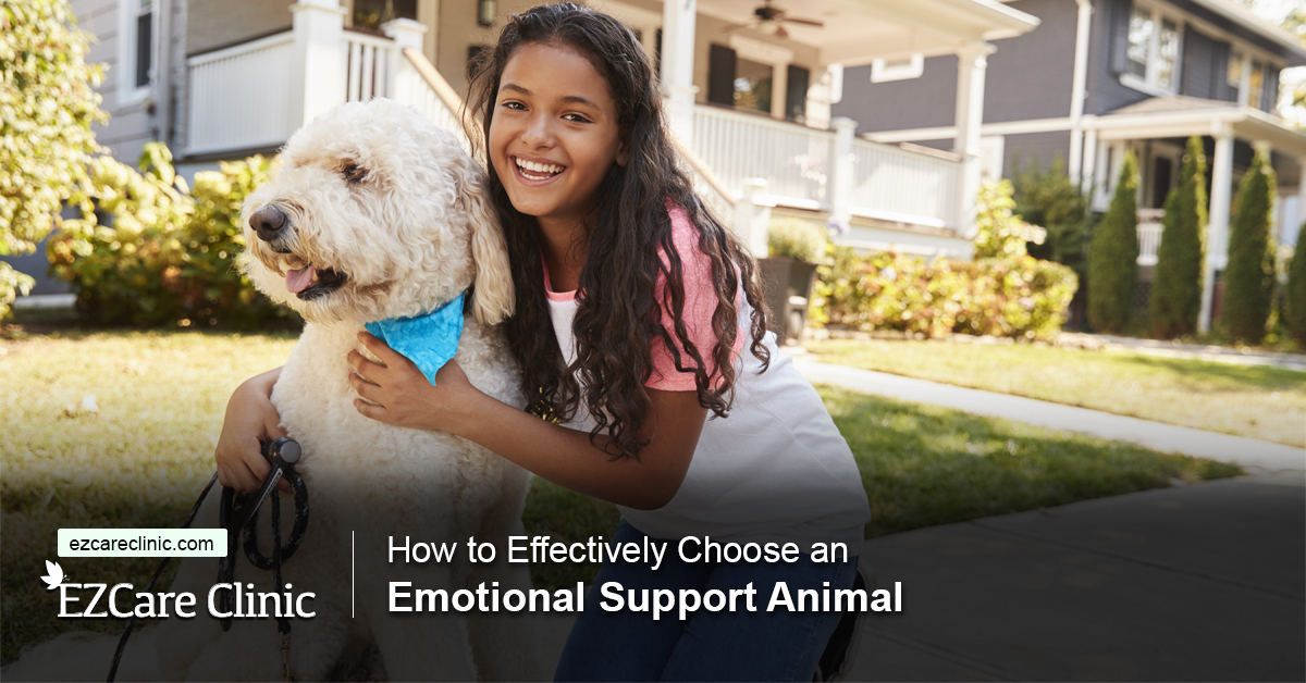How to Effectively Choose an Emotional Support Animal