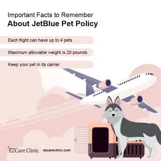 A Complete Guide to JetBlue Pet Policy - EZCare Clinic