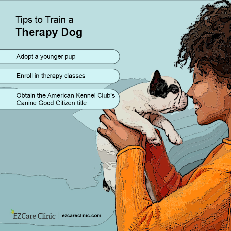 A Complete Guide to Getting and Legally Certifying a Therapy Dog - MEDvidi