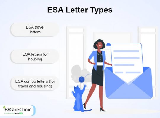 How Long Does It Take to Get an ESA Letter? - MEDvidi