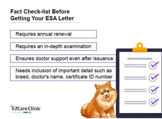 Can I Get an ESA Letter Online? - MEDvidi