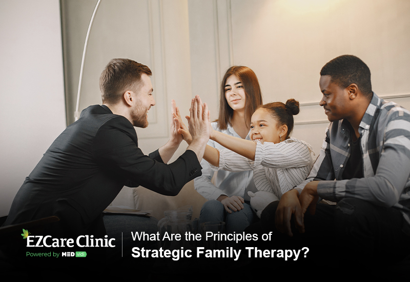 What Are The Principles Of Strategic Family Therapy EZCare Clinic